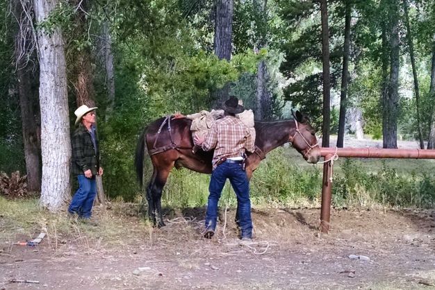 How to Make Dreams Come True - Texas Yeti Books