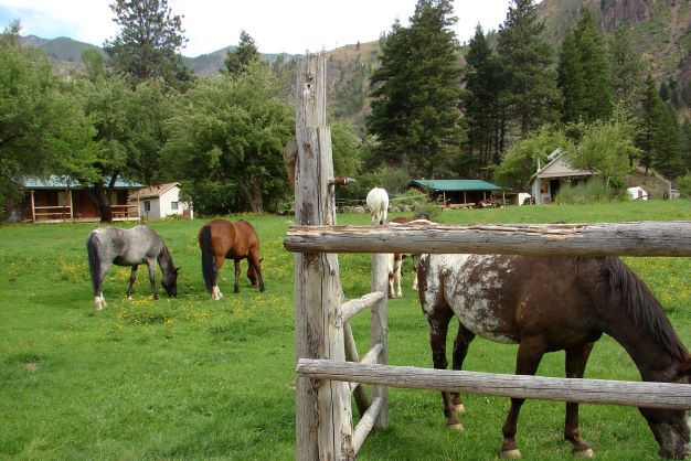 How to Make Dreams Come True - Texas Yeti Books