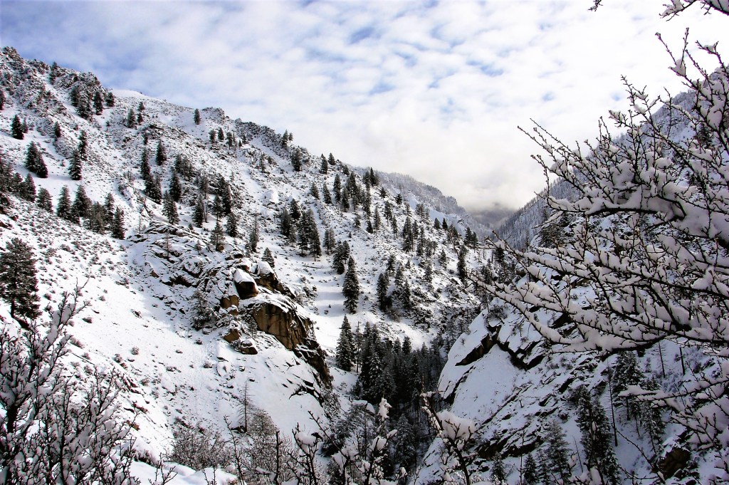 Small Mistakes Become Big Problems - Texas Yeti Books