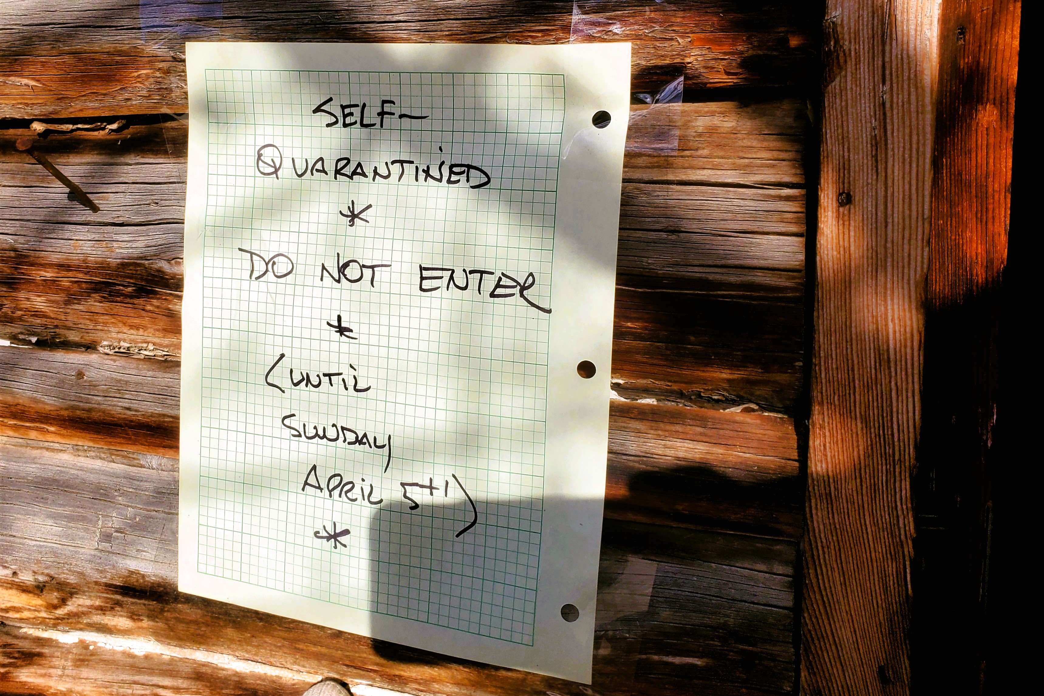 New Adventure - Texas Yeti Books