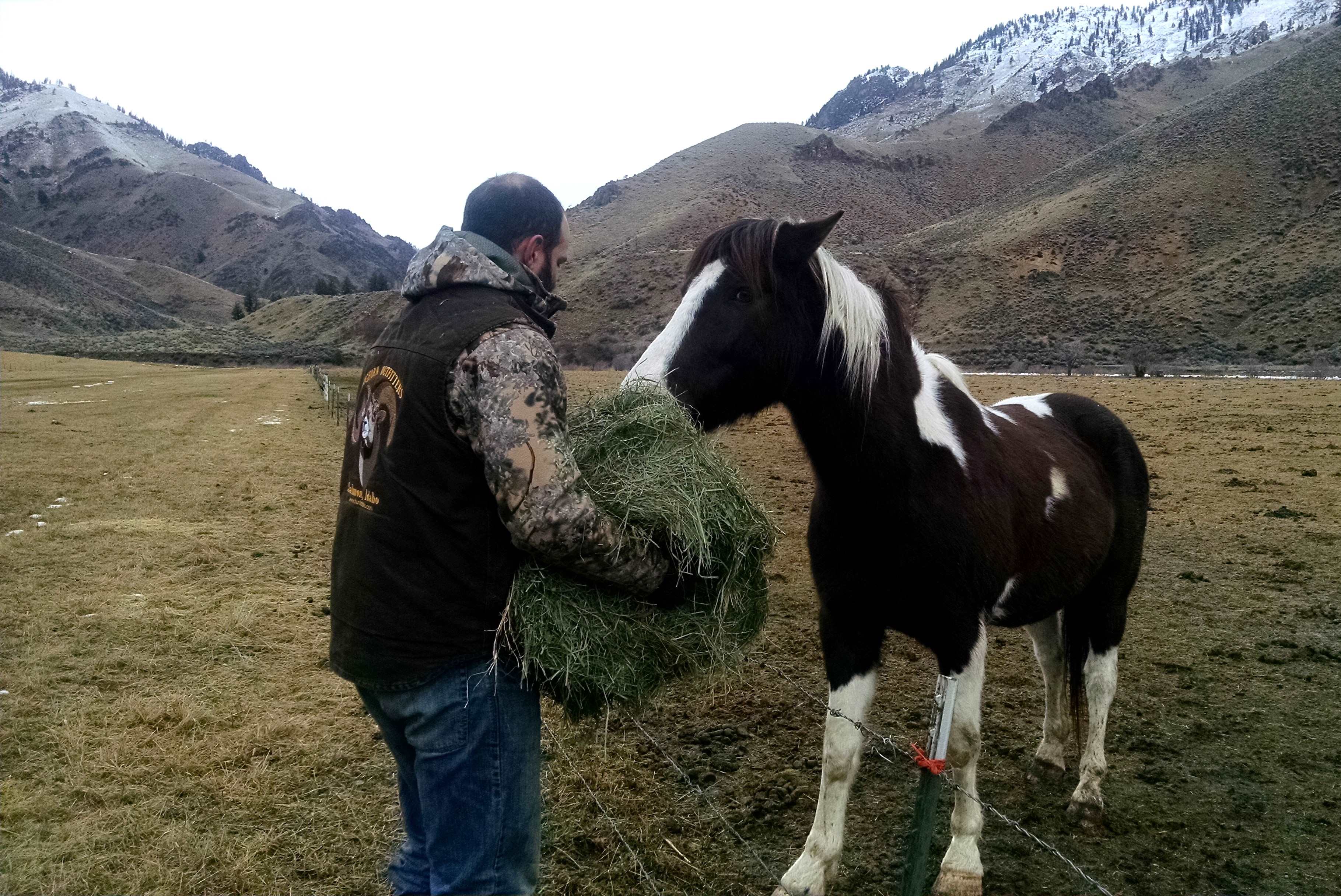 Winter Wrangling - Texas Yeti Books