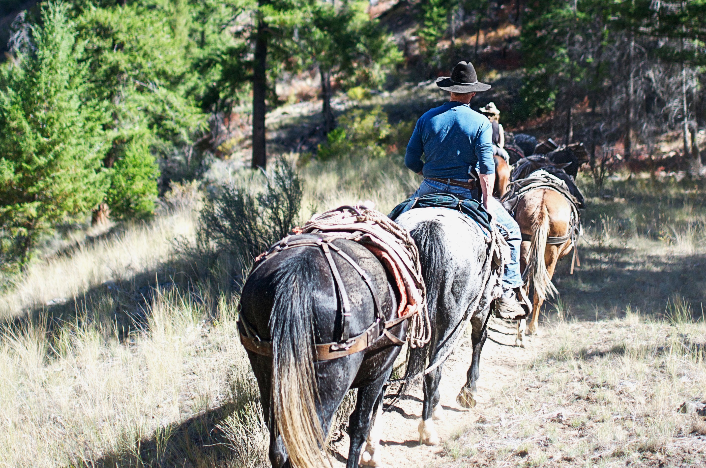 Backcountry Company Picnic - Texas Yeti Books