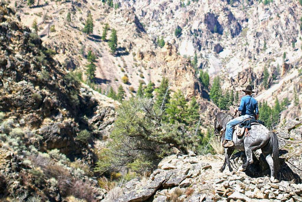 Backcountry Company Picnic - Texas Yeti Books