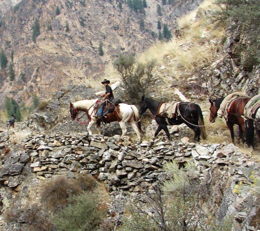 Blog - Texas Yeti Books