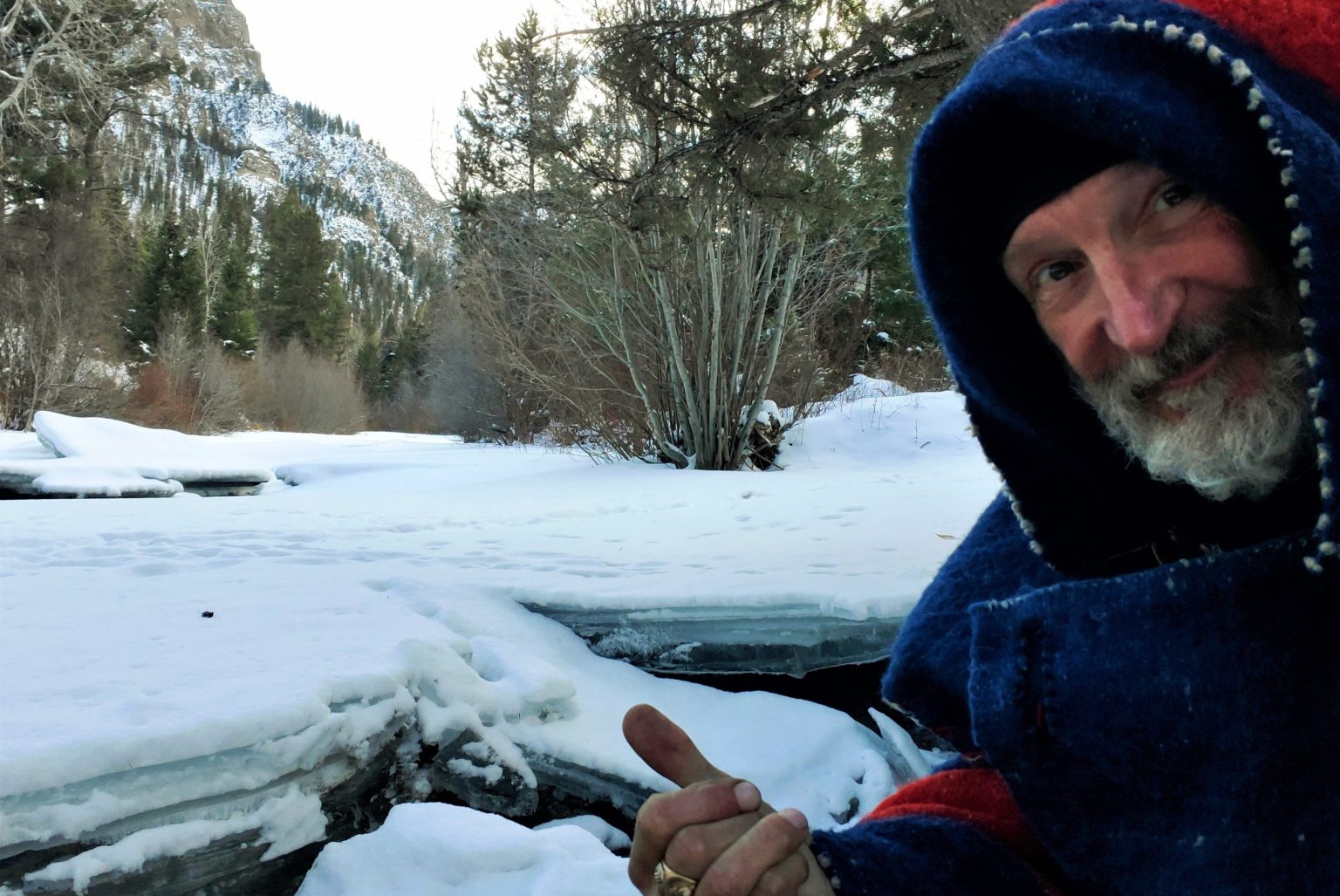 Night Out with Wolves - Texas Yeti Books