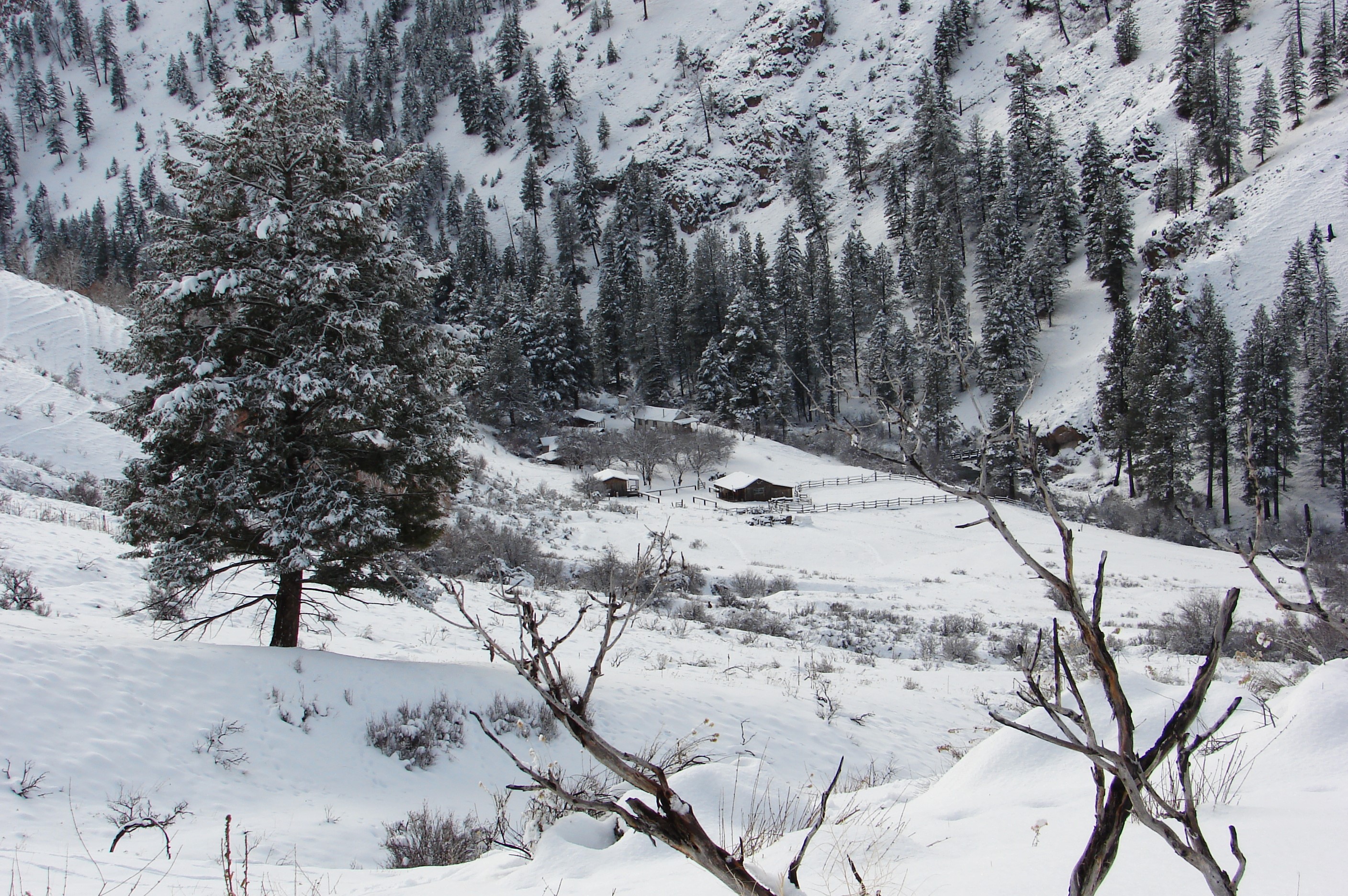Winter Refuge - Texas Yeti Books