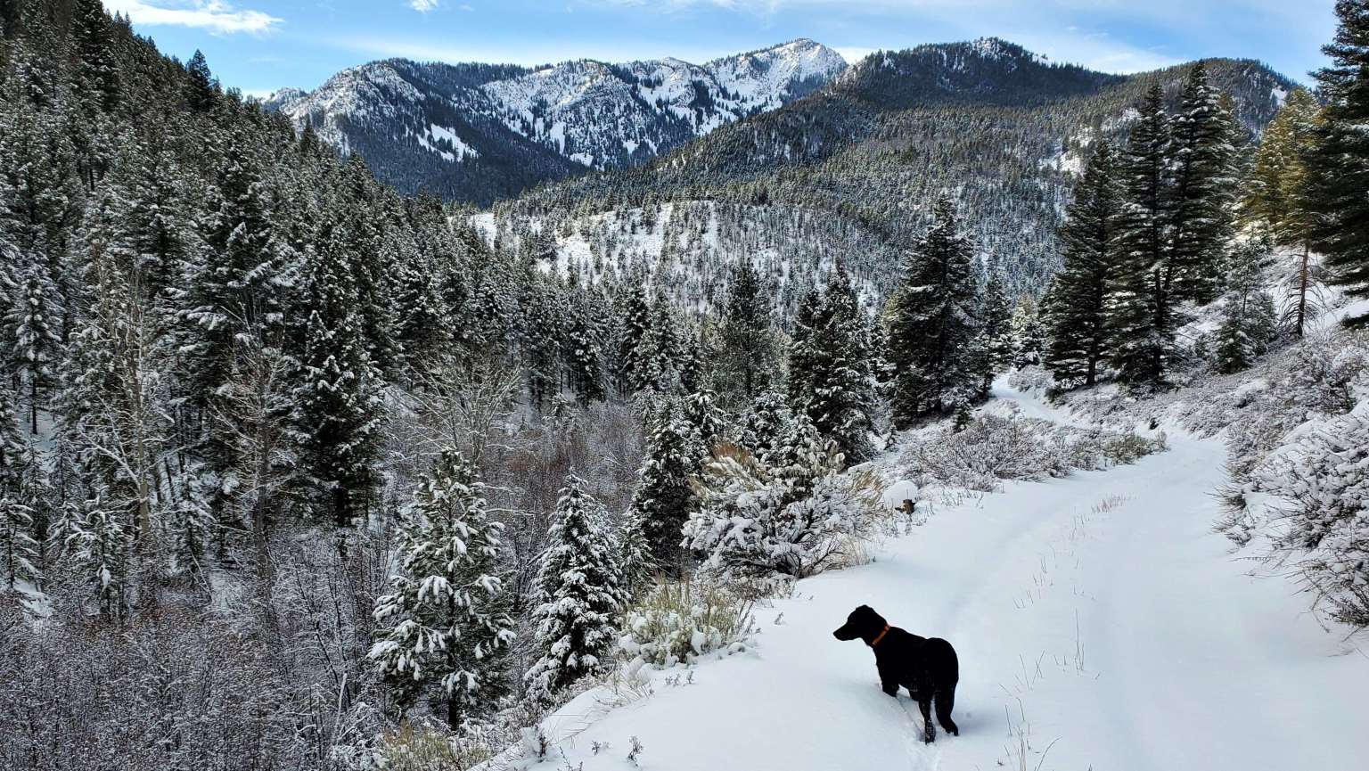 Starting Over Again at 40, 50, or 60 - Texas Yeti Books